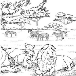 African Plains Coloring Pages Coloring Pages