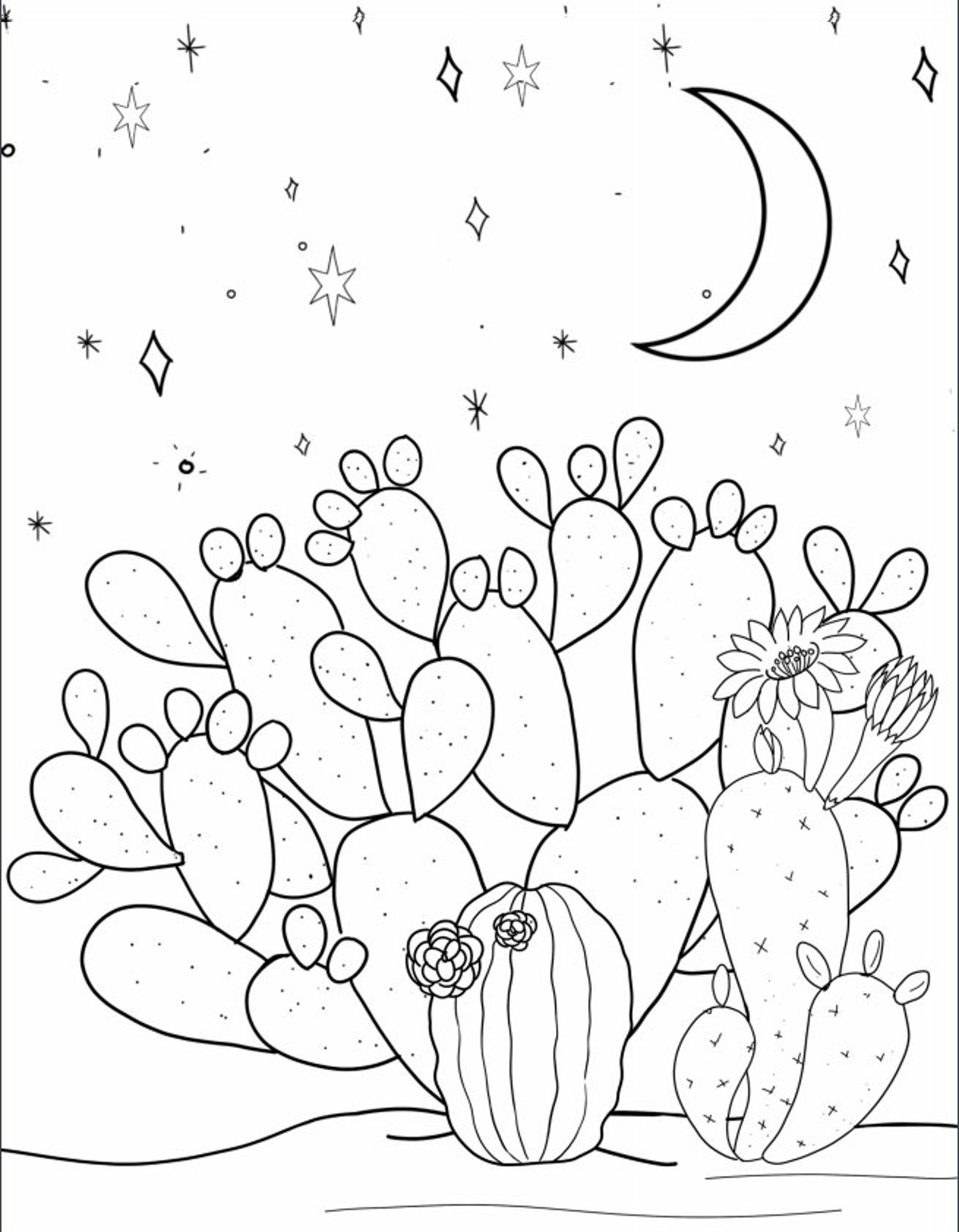 20 Page Cactus Coloring Book - Etsy