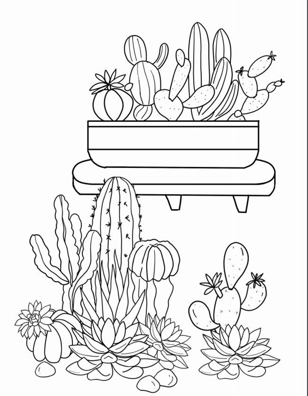 20 Page Cactus Coloring Book - Etsy