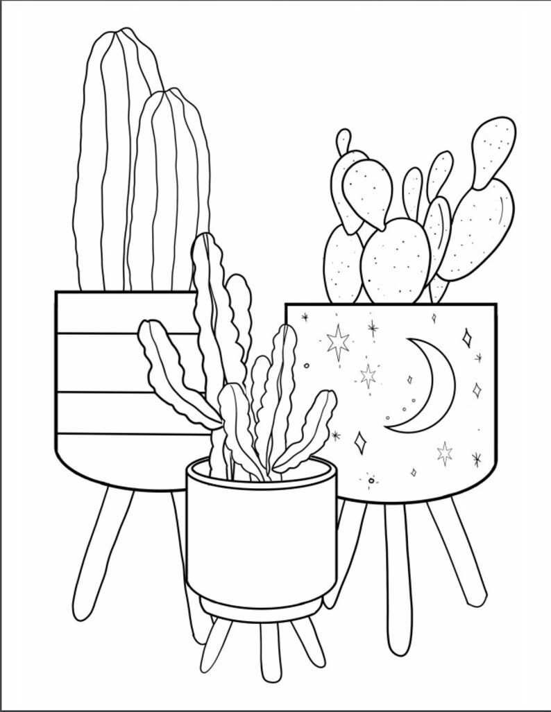 20 Page Cactus Coloring Book - Etsy