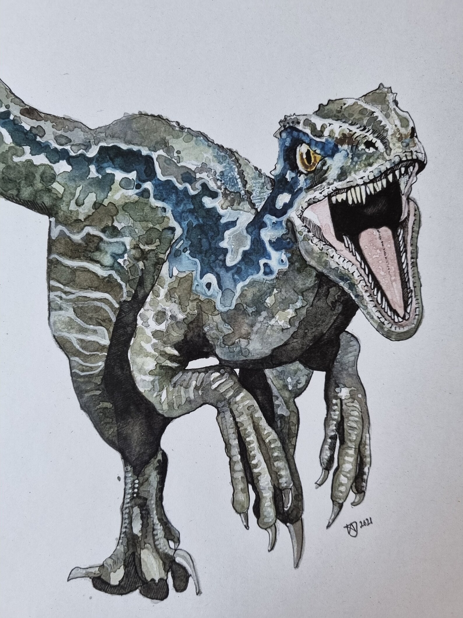 Blue Raptor Watercolour Print A4 | Etsy