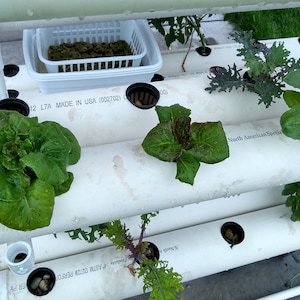 Hydroponic Garden Build Guide/technical Package | Ebook - Etsy