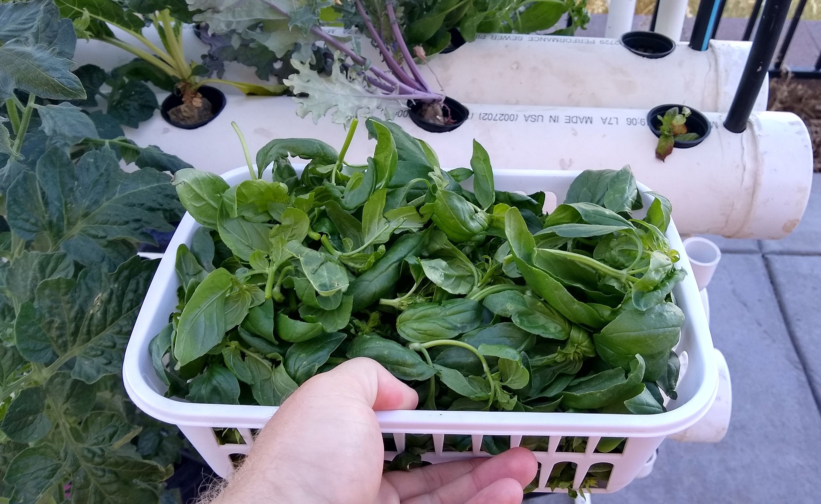 Hydroponic Garden Build Guide/technical Package | Ebook - Etsy