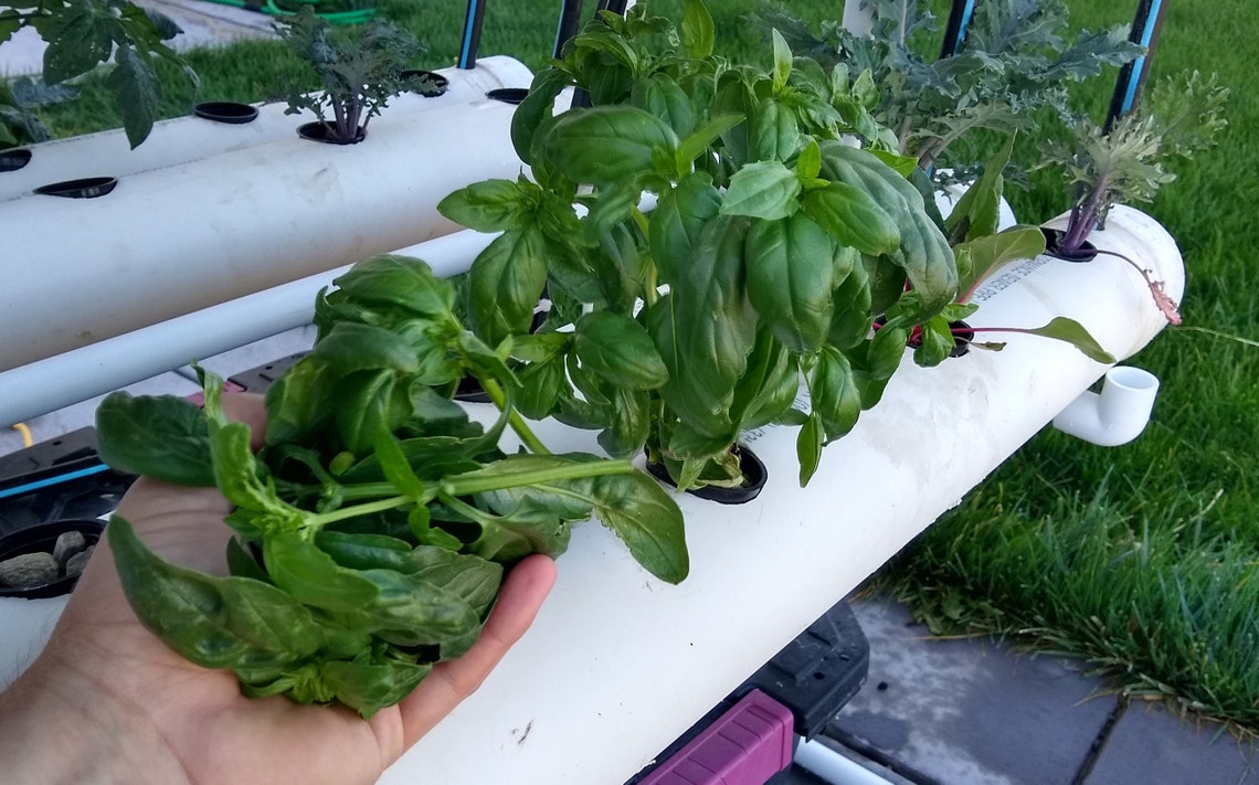 Hydroponic Garden Build Guide/technical Package Ebook - Etsy