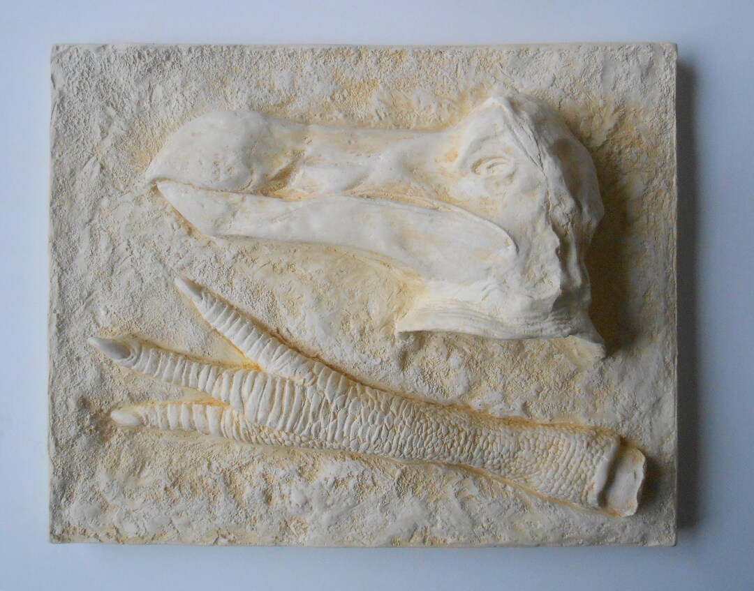 Dodo Head and Foot - Etsy UK