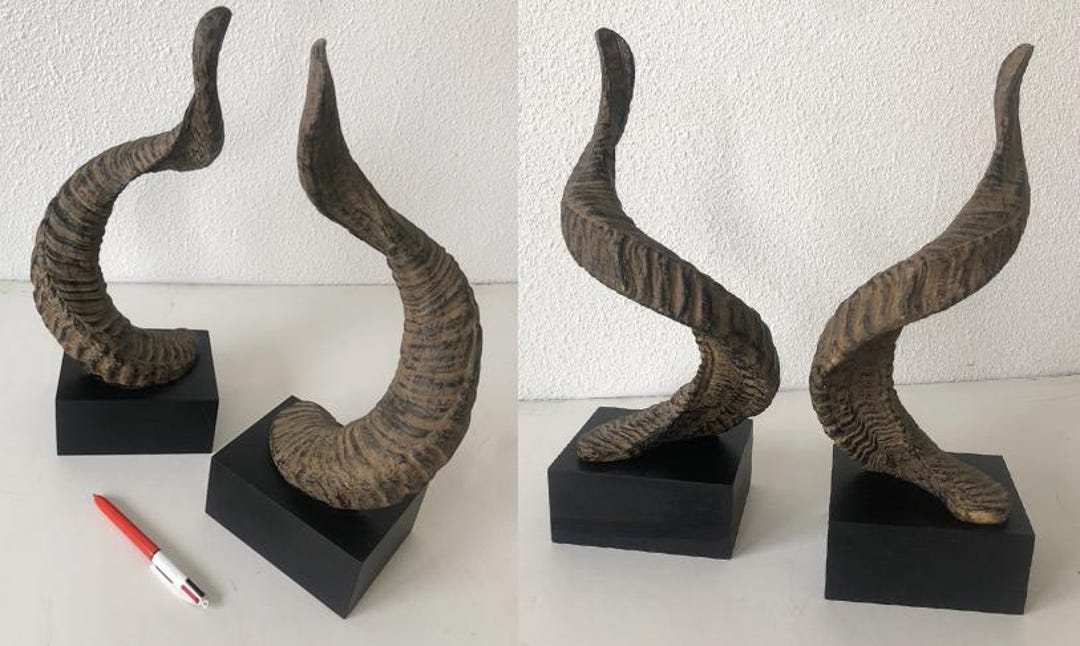 Horns Pair Replicas - Etsy