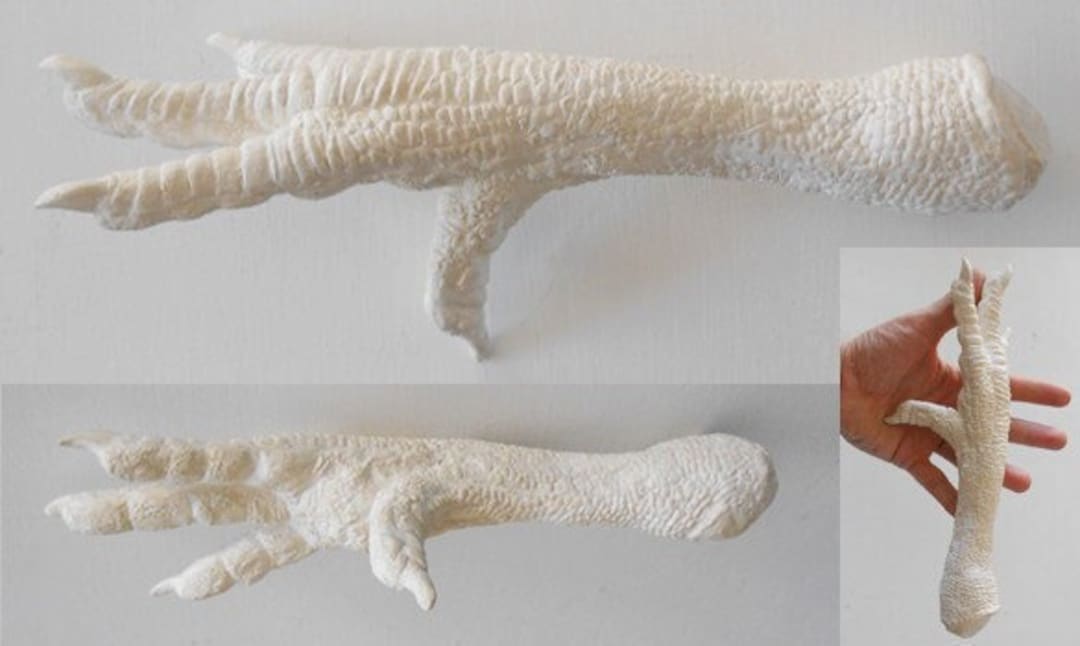 DODO Foot Cast - Etsy UK