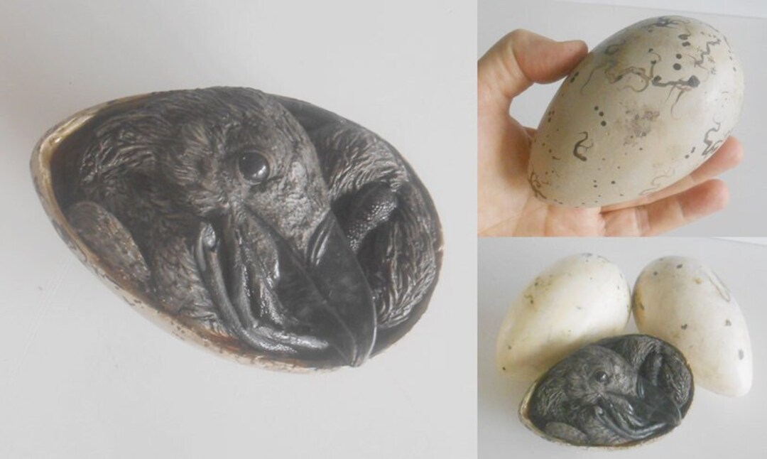GREAT AUK Egg With Chick Replica Extinct Species - Etsy