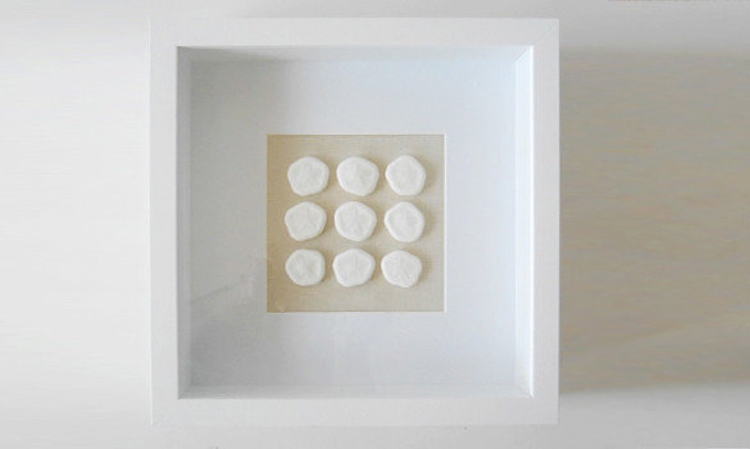 Sand Dollar Frame - Etsy