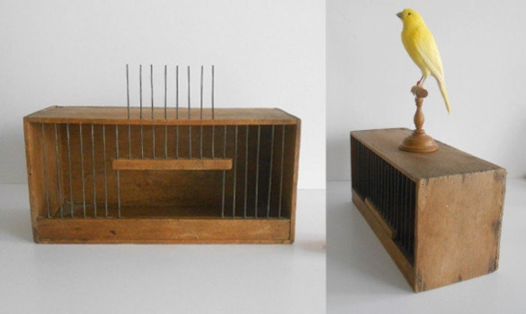 Ancient Birds Cage - France, Circa 1900 - Etsy