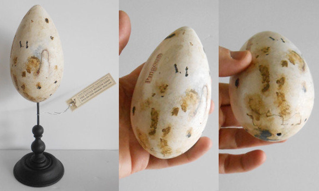 GREAT AUK Egg Replica Extinct Species - Etsy