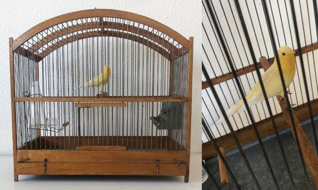 Ancient Birds Cage - France, Circa 1950 - Etsy