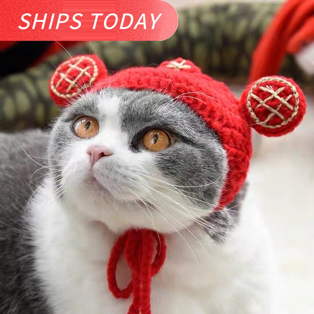 2023 Knitted Cat Dog New Year Hat Chinese Style Wealth God Headdress ...