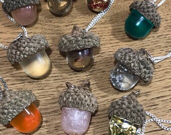 Real Acorns - Etsy UK