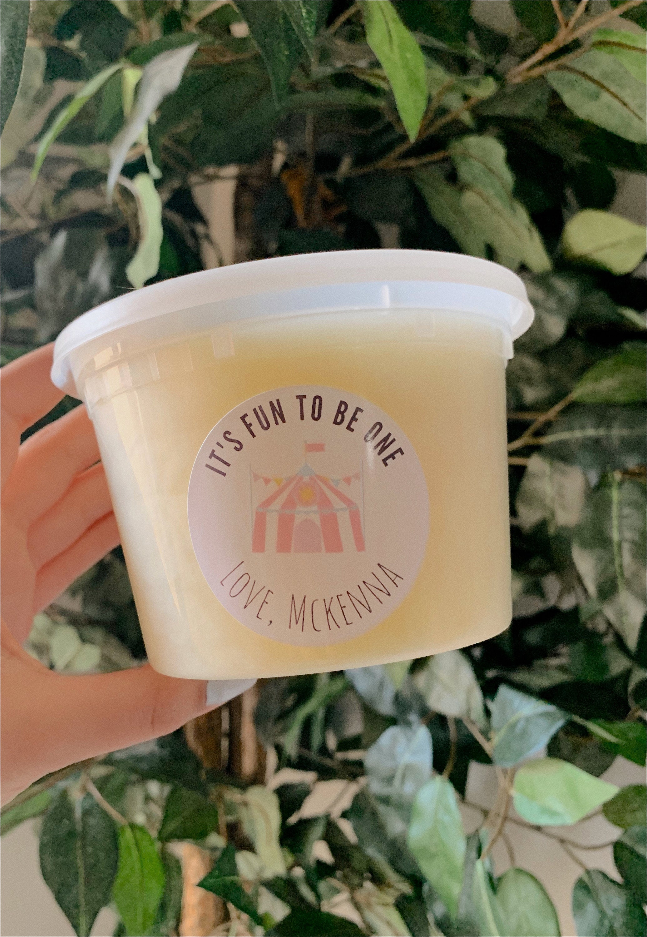 12 Pack Classic Cotton Candy Containers With Candy Topping Party Favors ...