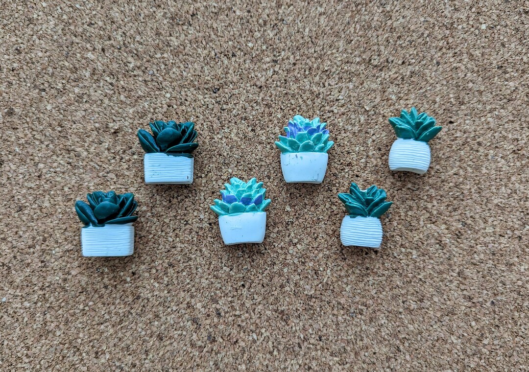 Succulent Pushpin Set, Mini Plant Bulletin Board Tacks, White Planter ...