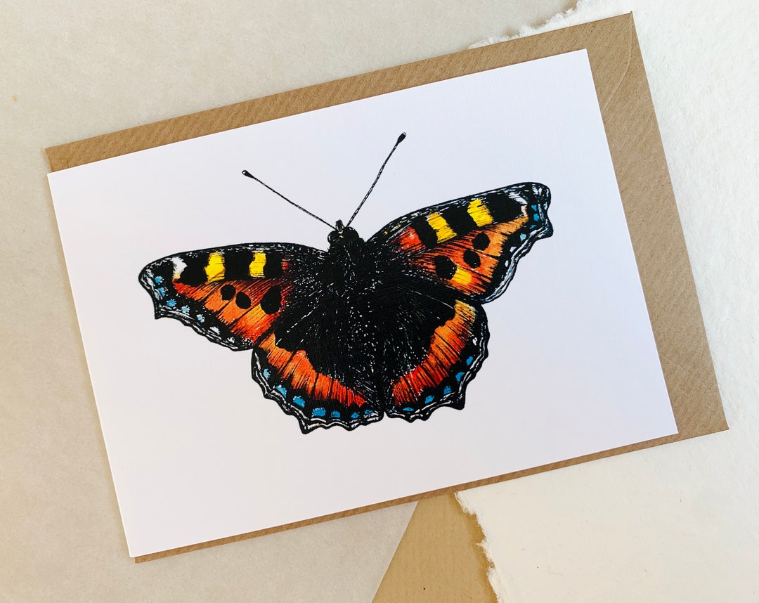 Tortoiseshell Butterfly Greetings Card. Watercolour Butterfly Card - Etsy