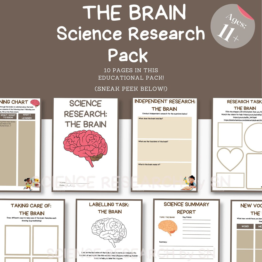 KS2/KS3 the Brain Printable/digital Science Activity Pack. - Etsy