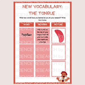 8-bundle Interactive Human Anatomy Worksheets Engaging Science ...