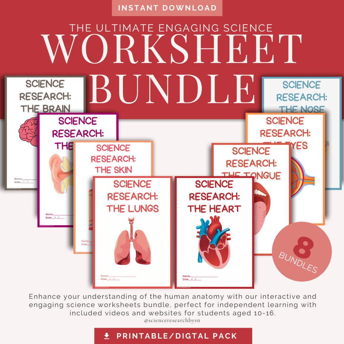 8-bundle Interactive Human Anatomy Worksheets Engaging Science ...