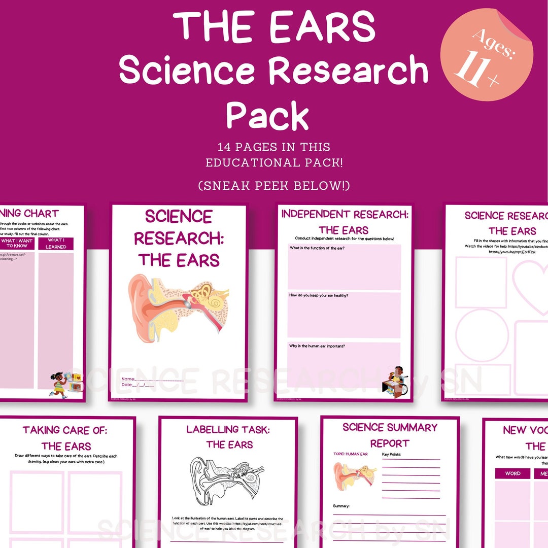KS2/KS3 the Ears Printable/digital Science Activity Pack. - Etsy