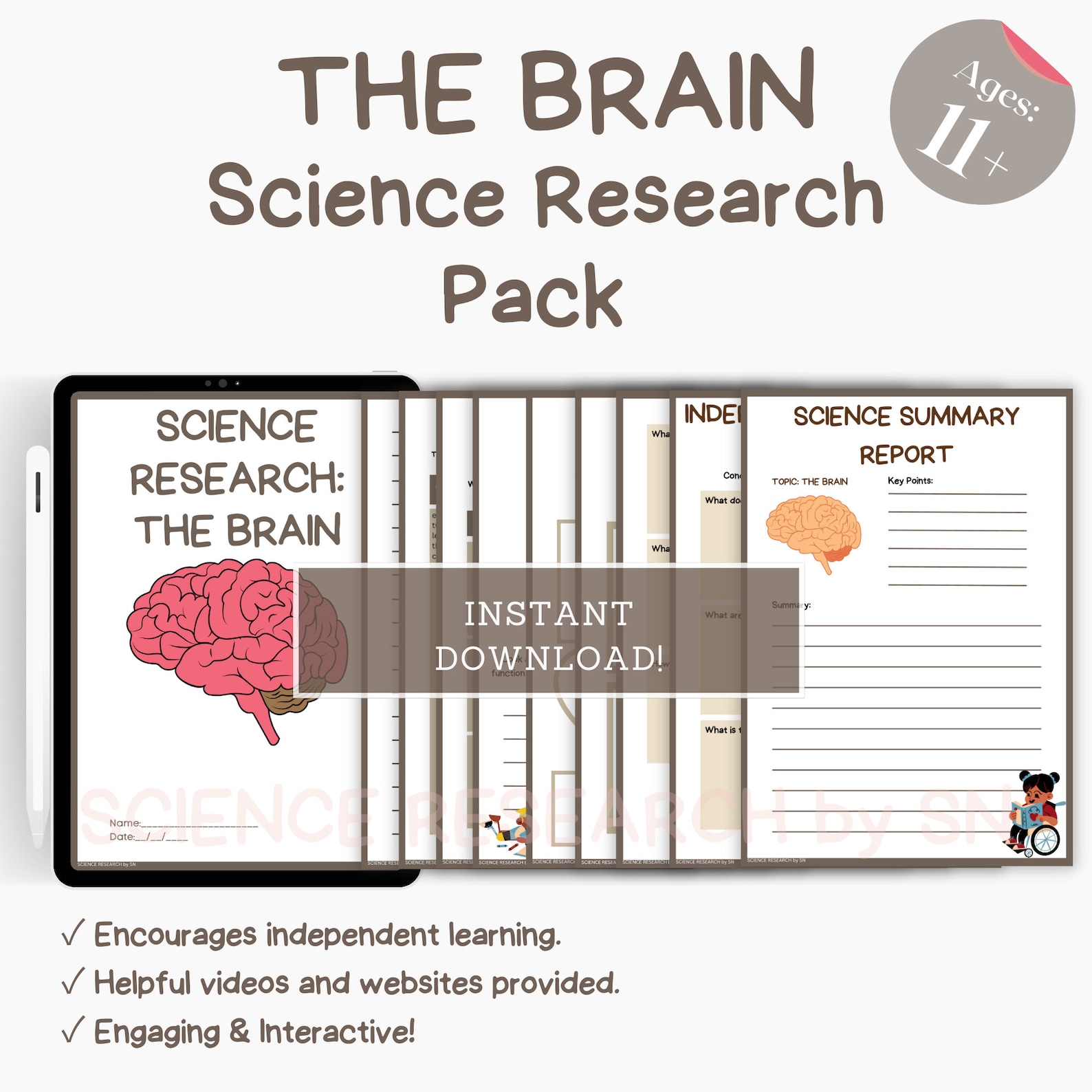 KS2/KS3 the Brain Printable/digital Science Activity Pack. - Etsy