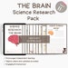 KS2/KS3 the Brain Printable/digital Science Activity Pack. - Etsy