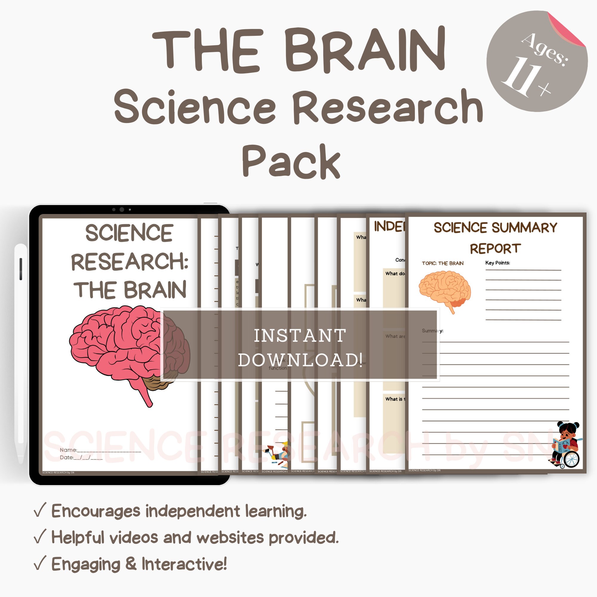 KS2/KS3 the Brain Printable/digital Science Activity Pack. - Etsy