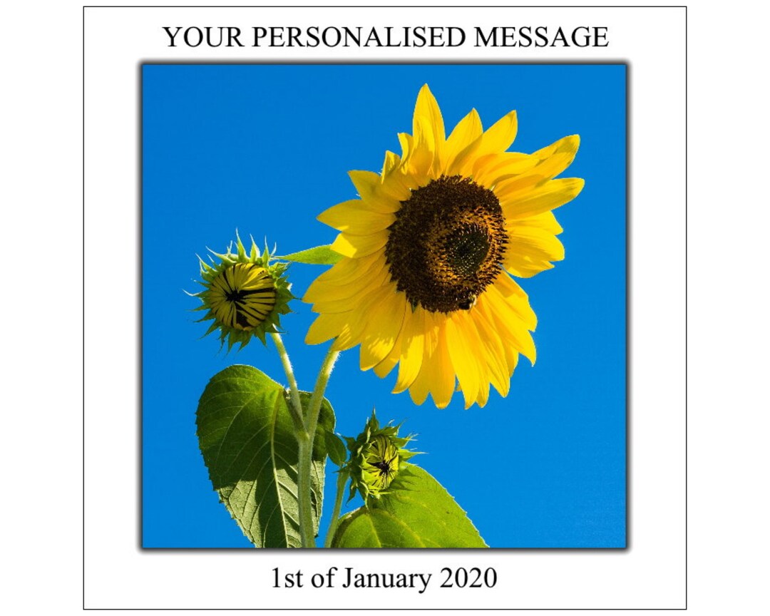 Edible Square Cake Topper Custom Print for Elegant Celebrations ...