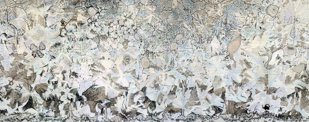 Chemical Abstract Under the Microscope, Microscopic Image Print on Wall ...