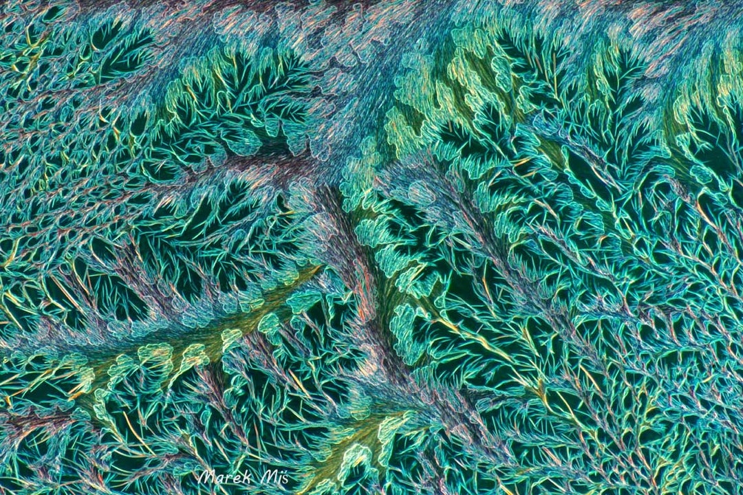 Artistic Micrograph of Callus Remover, Photography Through the ...