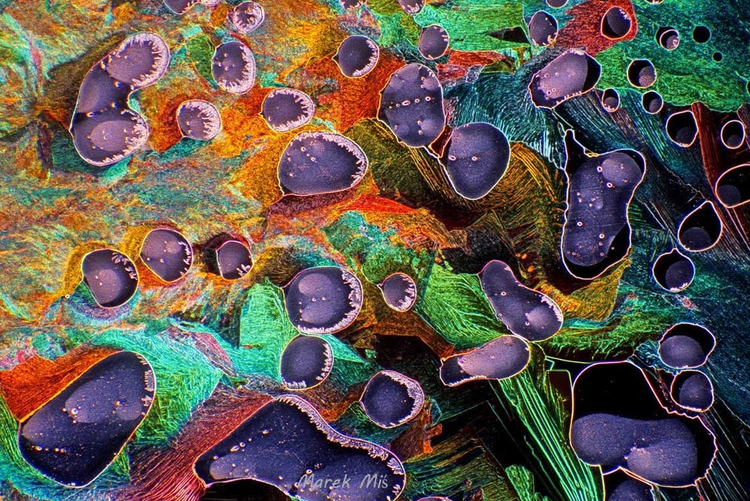 Tartaric Acid Under the Microscope, Art Under Microscope, Microscopic ...