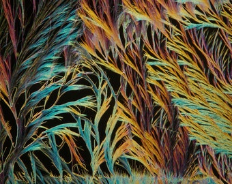 Abstract Art Under the Microscope Artistic Micrograph on - Etsy