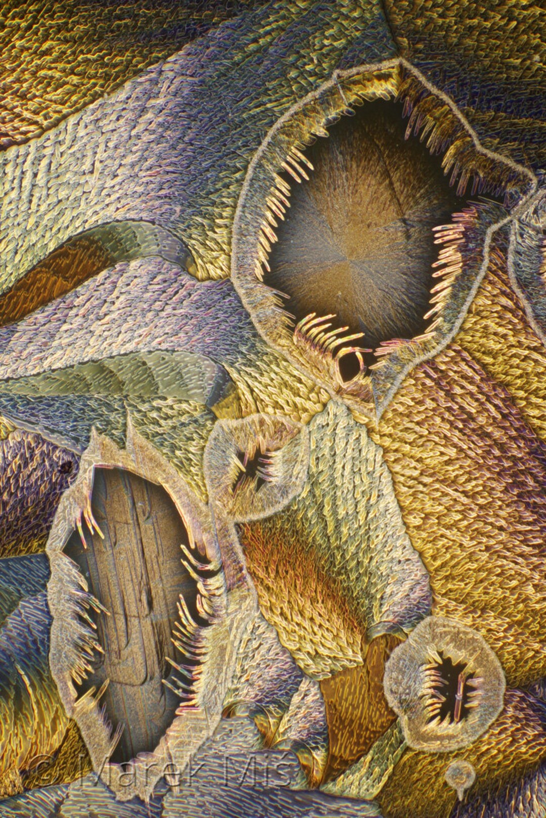 Callus Remover Under the Microscope, Abstract Art, Abstract ...