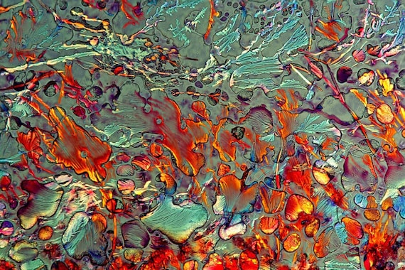 Microscopic Microworld Microscope Micrograph Abstract | Etsy