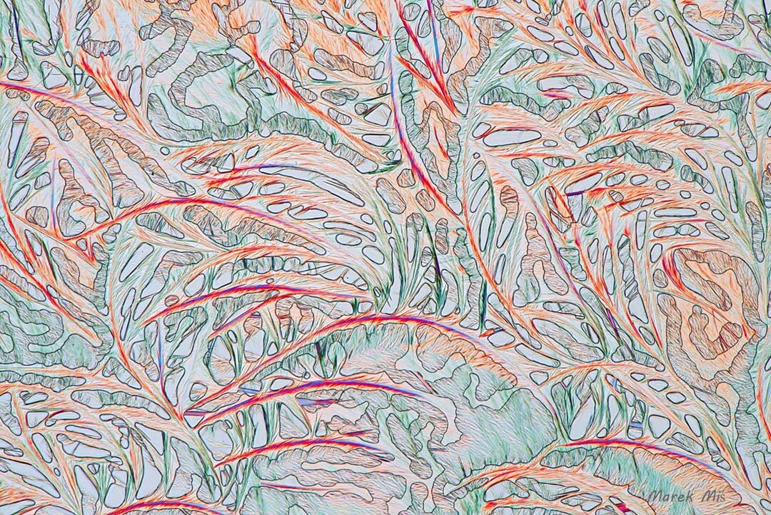 Abstract Art Under the Microscope, Artistic Micrograph on Wall ...