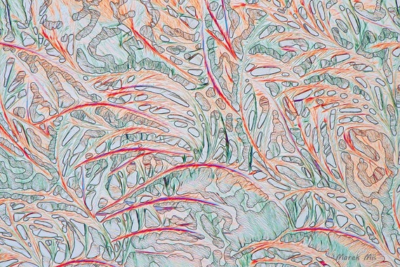 Abstract Art Under the Microscope Artistic Micrograph on - Etsy