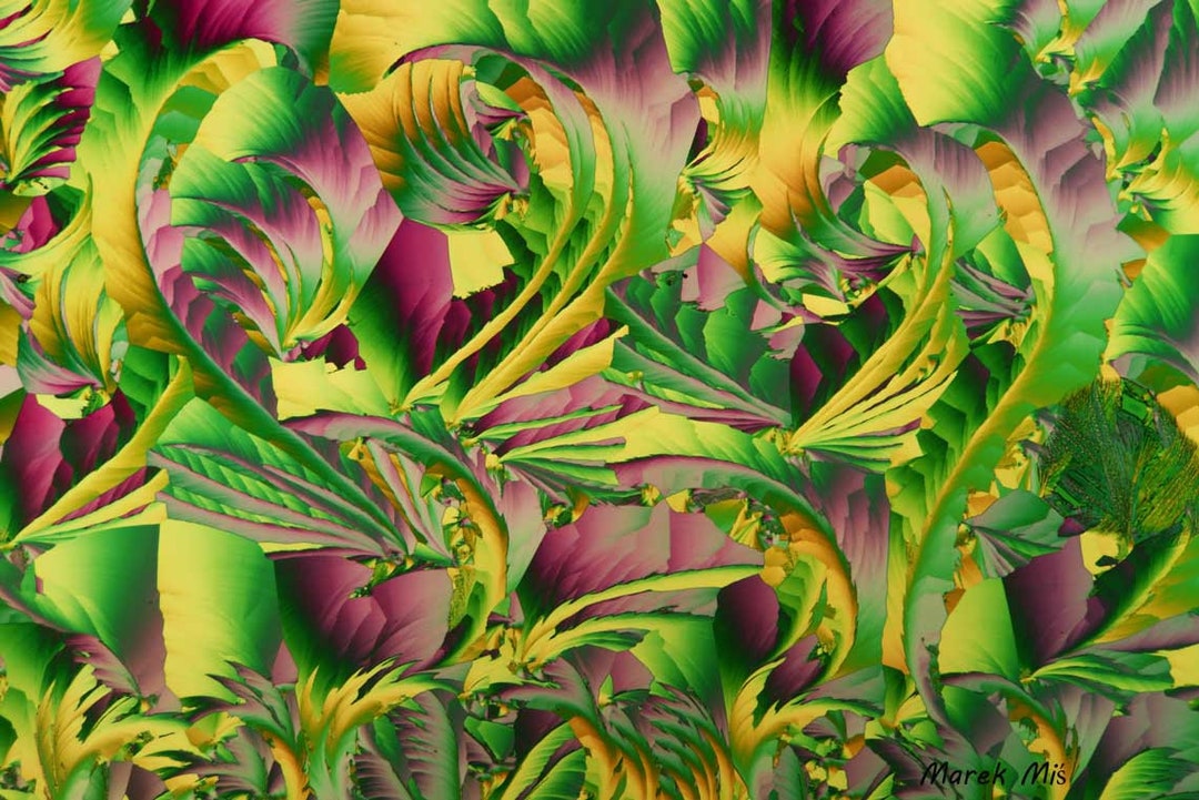 Recrystallized Callus Remover Under the Microscope, Artistic Micrograph ...