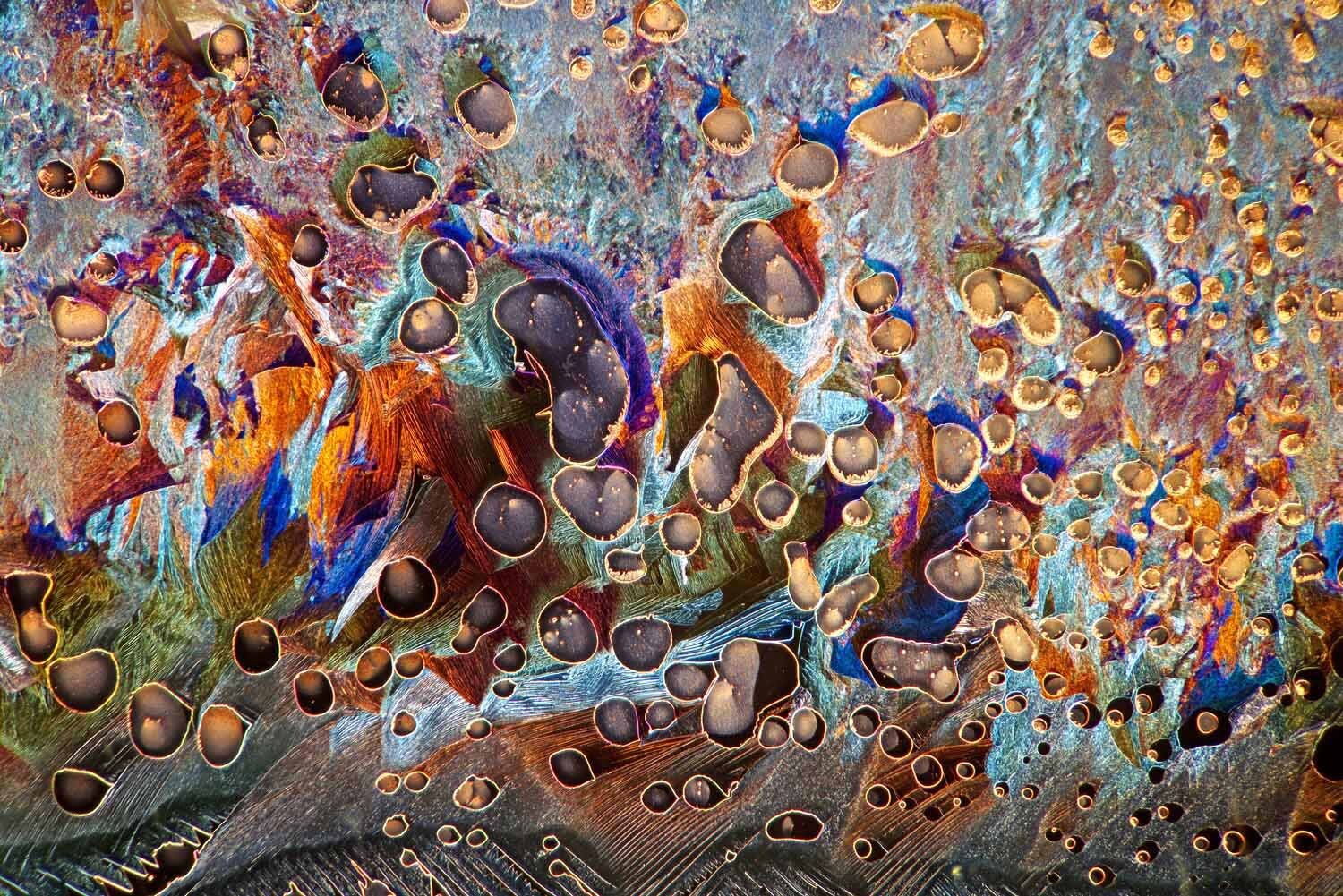 Microscopic, microworld, micro art, reef, coral reef, coral islands ...