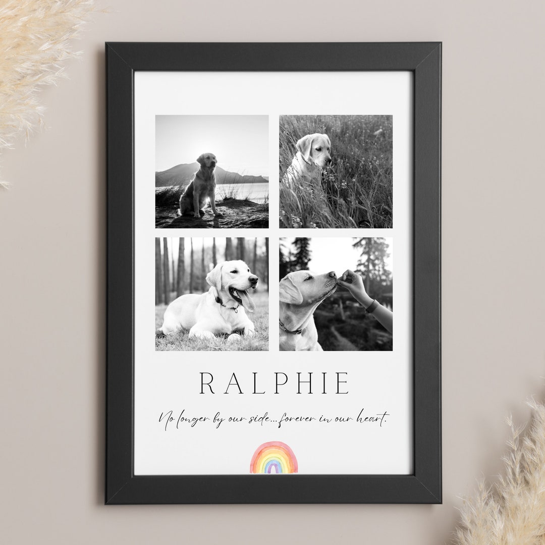 Pet Loss Print | Pet Loss Gift | Pet Memorial Print | Personalised Pet ...