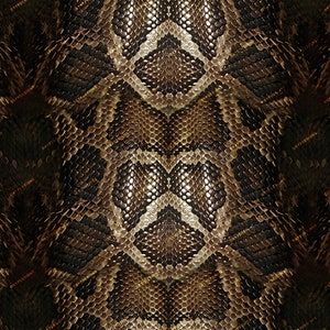 Brown Snakeskin Seamless Digital Paper Background Texture Python ...