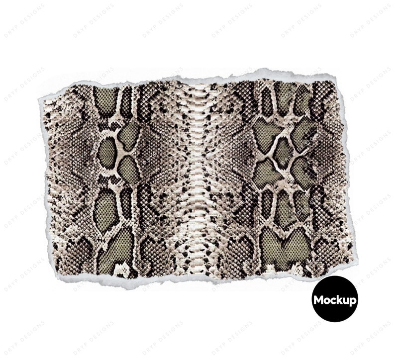 Python Snakeskin Seamless Background Texture PNG Digital - Etsy