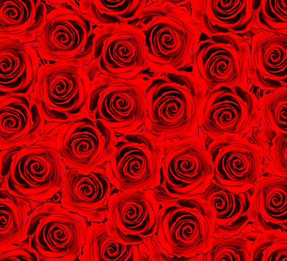 Red Roses Seamless Background PNG Red Rose Floral Digital - Etsy