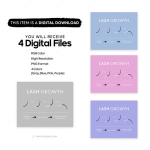 Lash Extension Growth Cycle Chart - Multicolor Digital Art Print ...