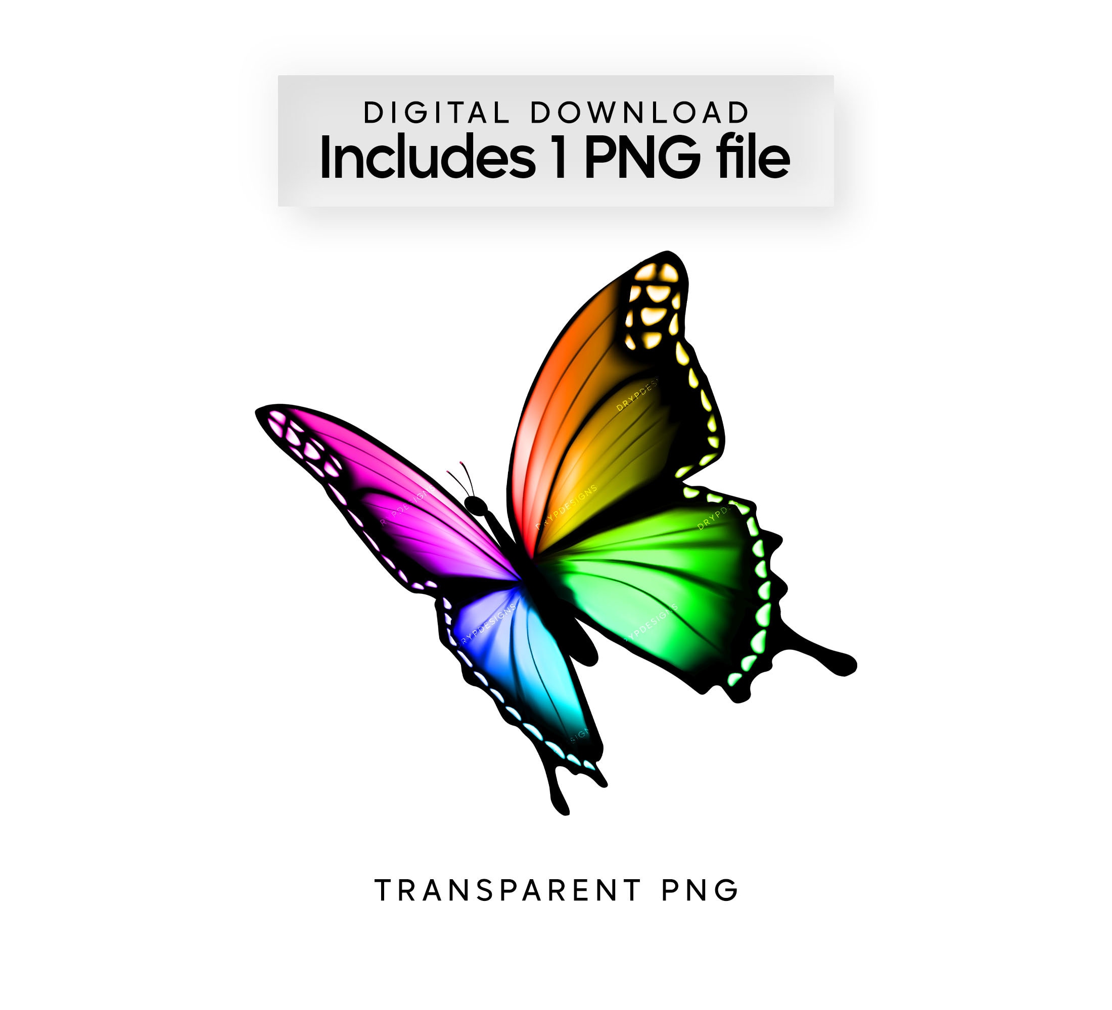 Computer Software Logos Butterfly