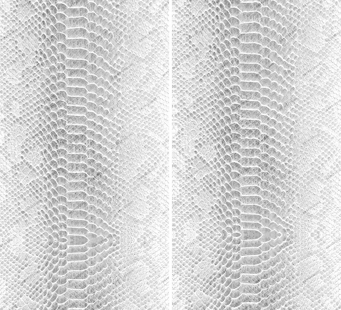 White Snakeskin Seamless Background Texture Snake Print - Etsy