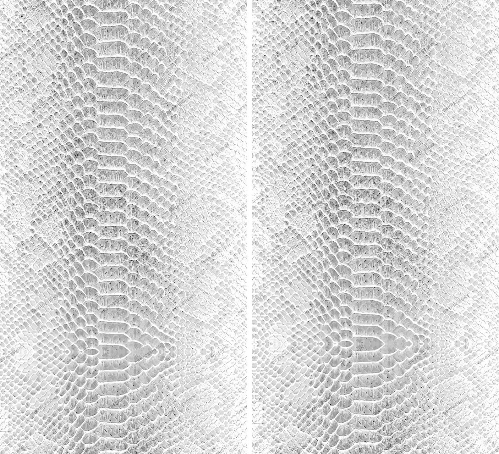 White Snakeskin Seamless Background Texture - Snake Print Python ...