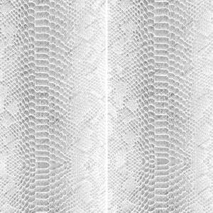 White Snakeskin Seamless Background Texture - Snake Print Python ...