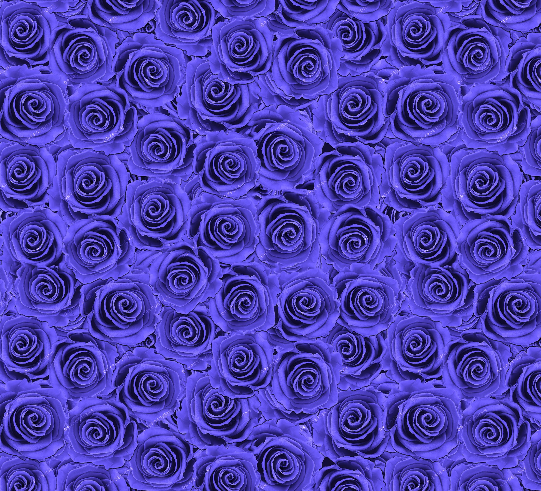 Purple Rose Seamless Background PNG Floral Digital Paper - Etsy