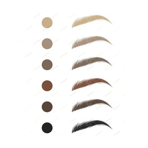 Eyebrow Color Chart Digital Art Print - Natural Hair Color Brow Illustration - Esthetician ...